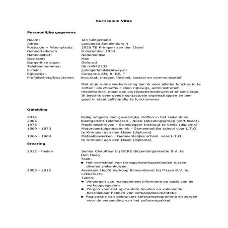 CV Jan Slingerland | PDF | Business | Business and Finance