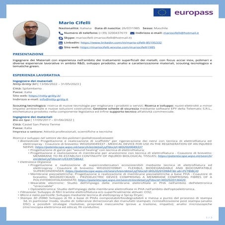 CV - Mario Cifelli | PDF