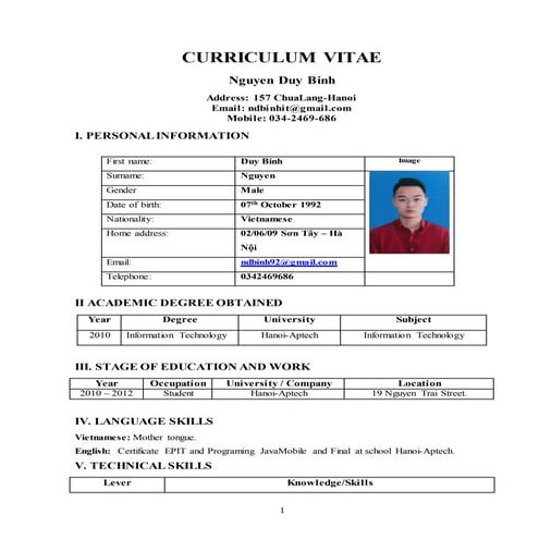 Cv nguyen duy binh | DOCX | Programming Languages | Computing