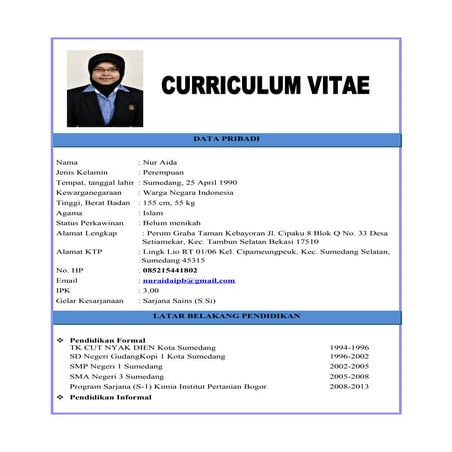 Cv nur aida | PDF