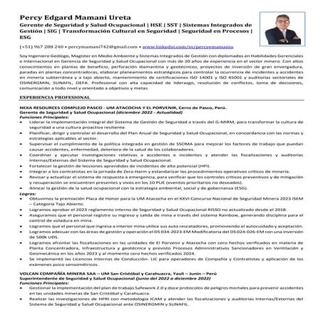 ESTRUCTURA CURRICULUM VITAE - PERCY MAMANI | PDF