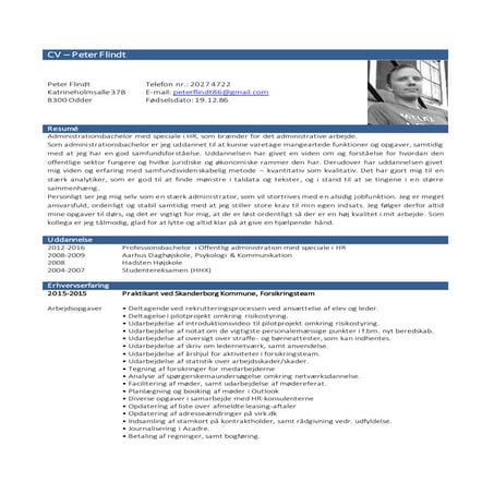 Cv peter flindt (2016) | DOCX
