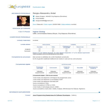 Cv sergiu antal | PDF