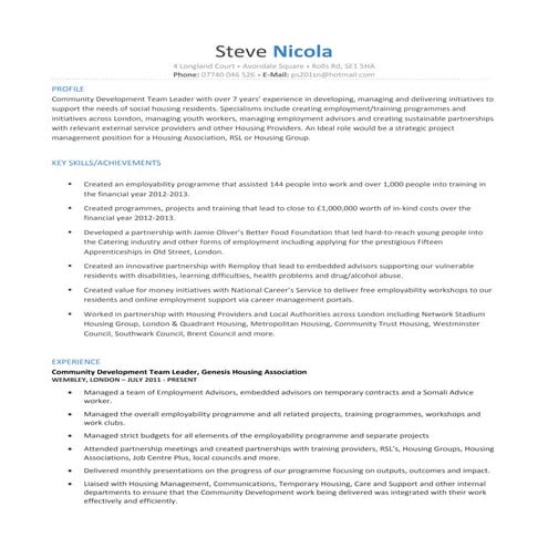 CV Steve Nicola Oct 2013 (New Design) | DOC