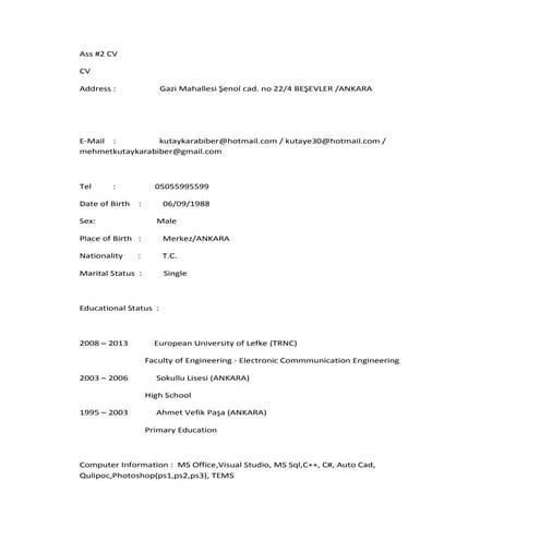 Cv 1 | RTF | Email | Internet