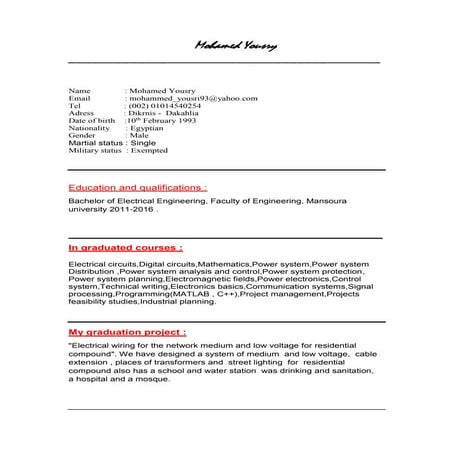 Cv (1) | PDF