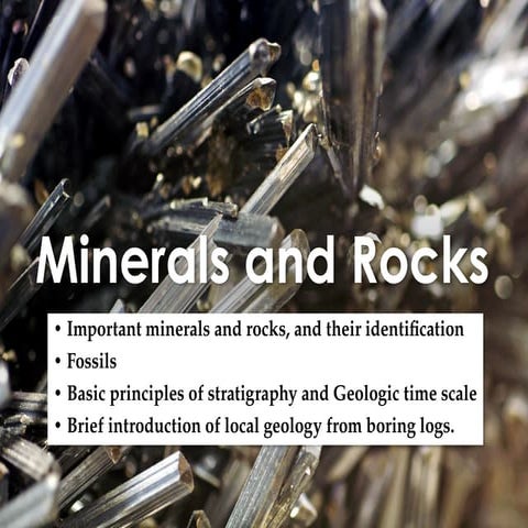 Comprehensive Guide to Minerals, Rocks, Fossils, and Stratigraphy ...