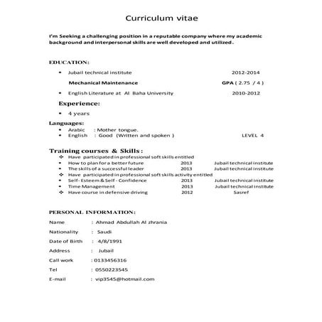 Cv2 | DOCX