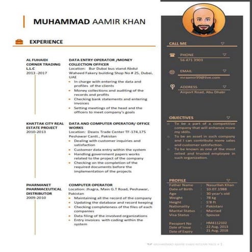 Advance Resume format 2 | PDF