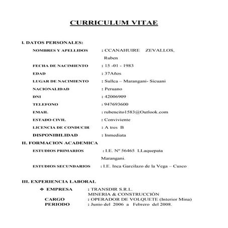 Modelo Curriculum Vitae Conductor Profesional CV 2020.pdf