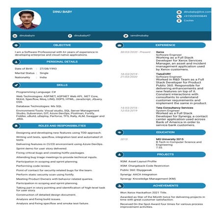 dinubaby.pdf | Computer Software and Applications | Computing