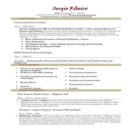 CV Steve Holland | PDF