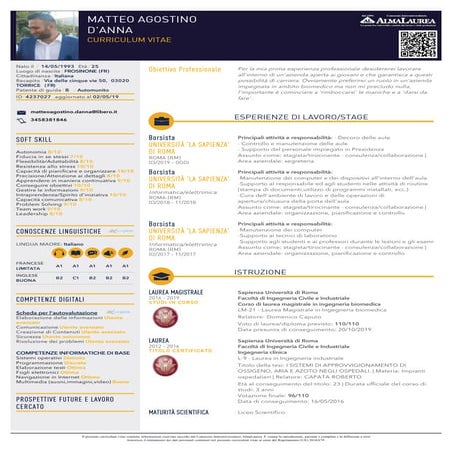 CV_MatteoAgostinoD'anna | PDF