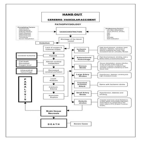 pathophysiology of Cerebro vascular accident | DOCX
