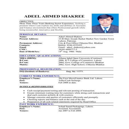 Cv Adeel Shakree | PDF