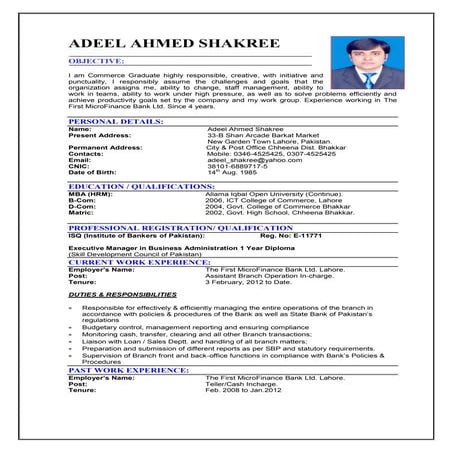 Cv Adeel Shakree | PDF