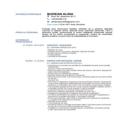 CV Alina Budean | PDF