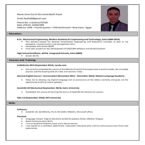 CV [amer ezz] | PDF