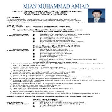 Cv amjad 2012 1 | PDF