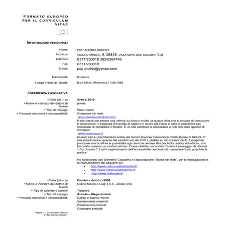 Cv andrei pop | DOC | Programming Languages | Computing