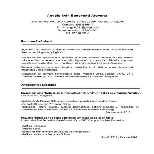 CV Angelo Beneventi | PDF