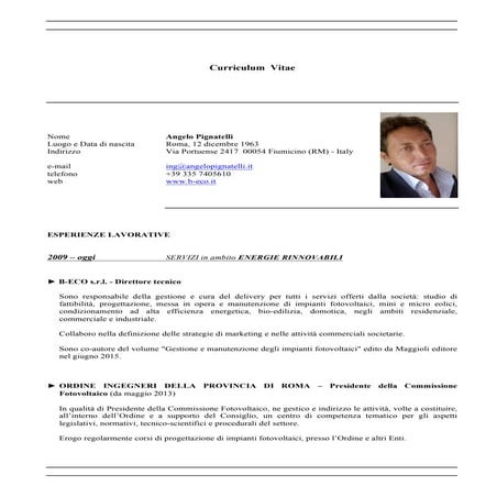 Cv angelo pignatelli_8_gennaio2016 | PDF