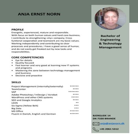 Cv anja norn_2019_uk | PDF