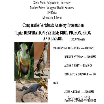 Respiratory system; birds, frog and lizard | PPTX