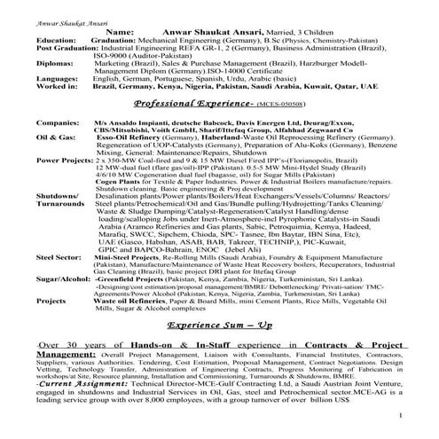 Jantesa 2010 (english) | PDF