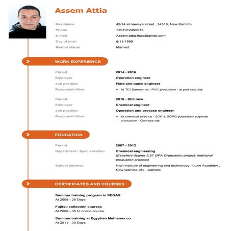 Cv assem attia | PDF