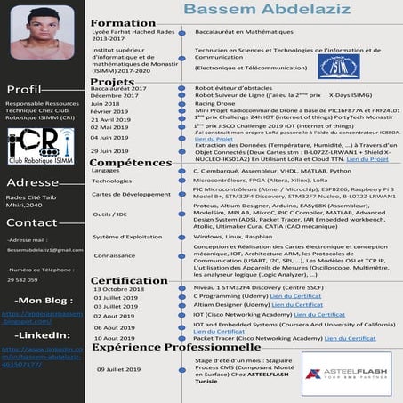 CV Bassem Abdelaziz | PDF