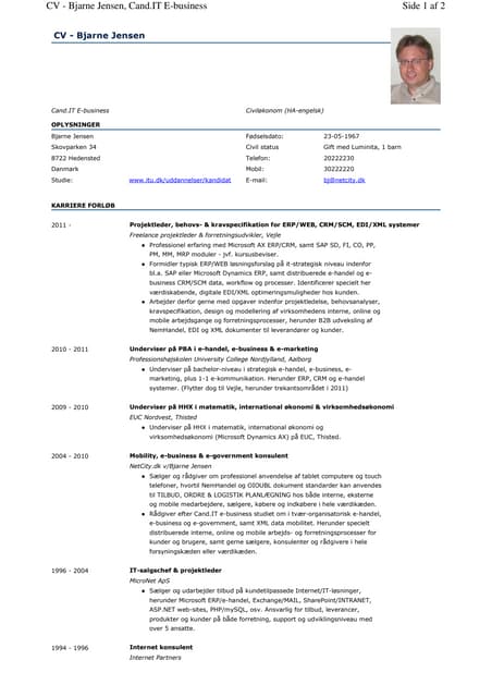 CV - Sanne Ries | PDF