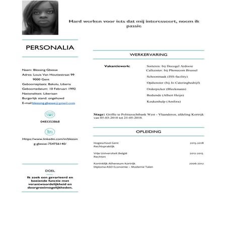 Cv blessing gbesse | PDF