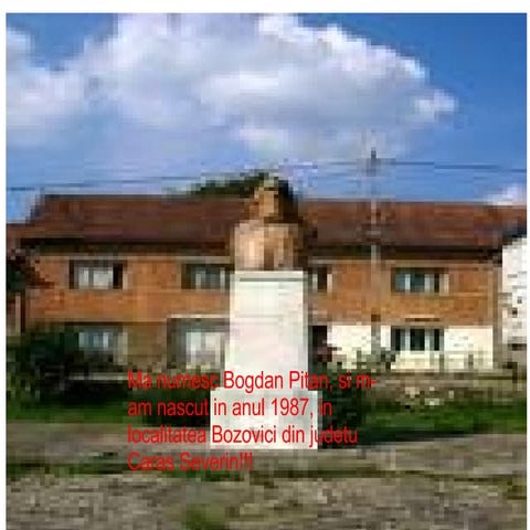 Cv Bogdan Pitan | PPT