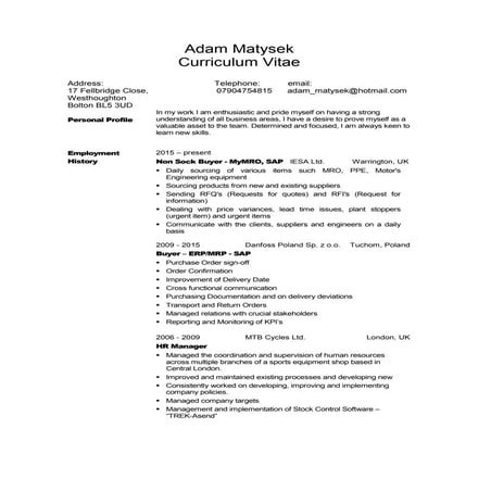 CV Matt Laernoes | DOCX