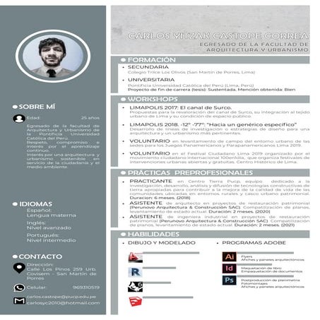 CV CARLOS ENERO.pdf