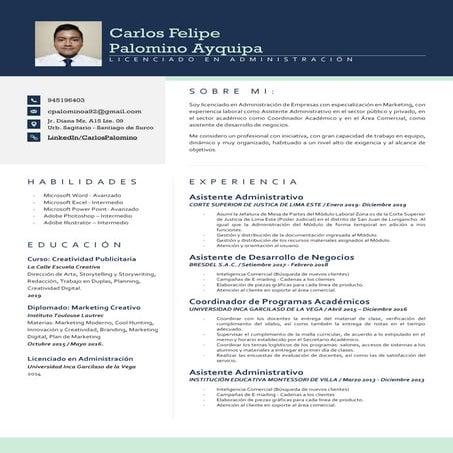 CV Carlos Palomino | PDF