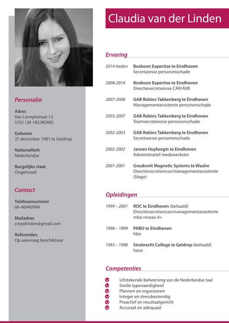 CV csaby met foto | PDF