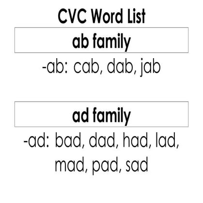 CVC word lists consonant vowel consonant | DOCX