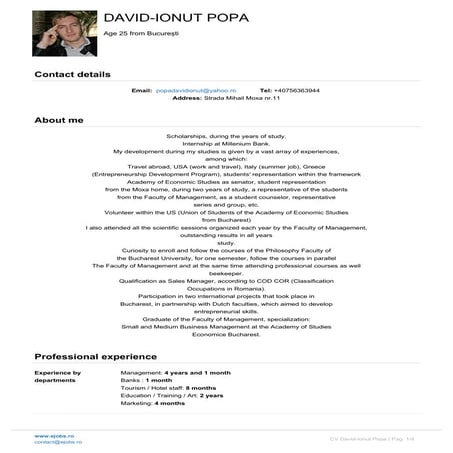 Cv David ionut-popa_en | PDF
