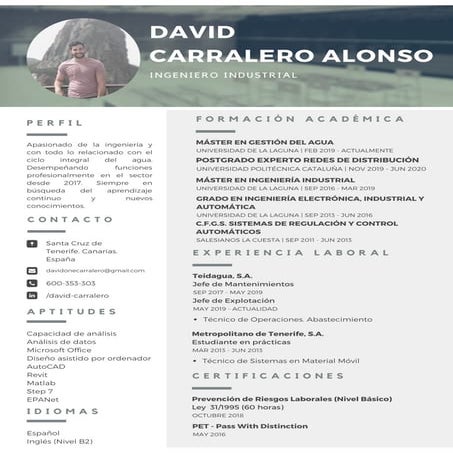CV David Carralero | PDF