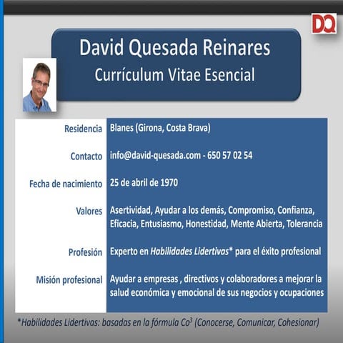 Cv david quesada 2015 | PDF