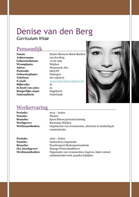 Curriculum Vitae | PDF
