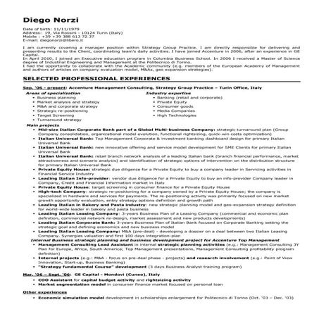 Cv diego norzi_201301 | PDF