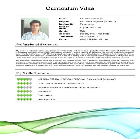 CV Format | PDF