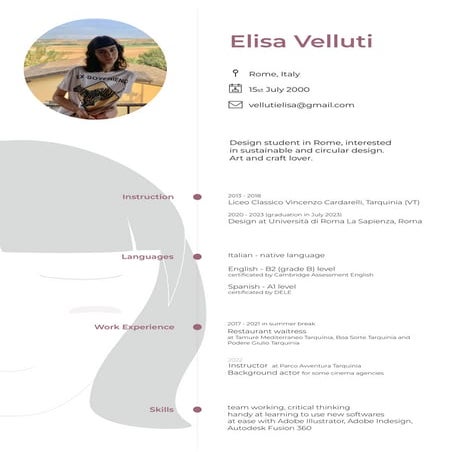 CV Elisa Velluti english.pdf