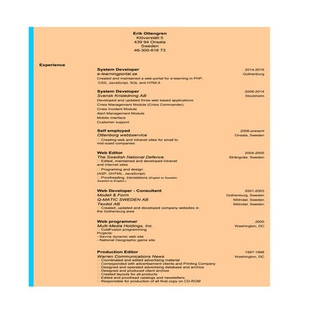 CURRICULUM VITAE | DOCX