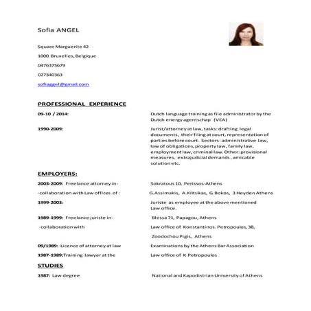 Cv english | PDF