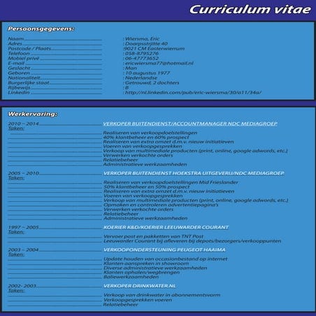 Cv eric 2015 2 | PDF | Business | Business and Finance