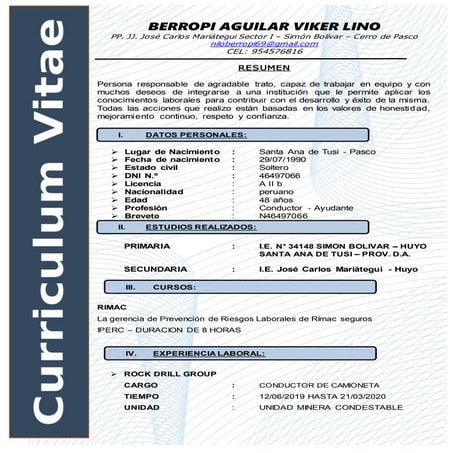 Modelo Curriculum Vitae Conductor Profesional CV 2020.pdf